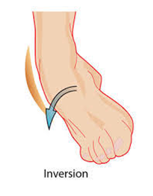 Ankle Sprain Recovery: How Physiotherapy Can Help